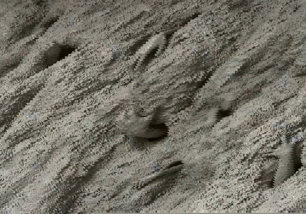 Paul Carey-Kent's Gallery Of The Week - Tension Fine Art Prize art ...